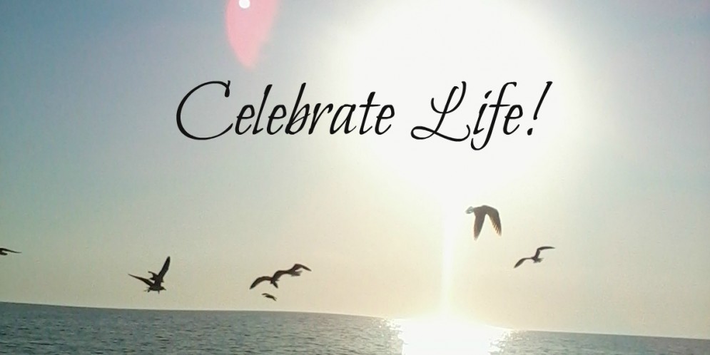 Celebrate Life! - Women's Life Link